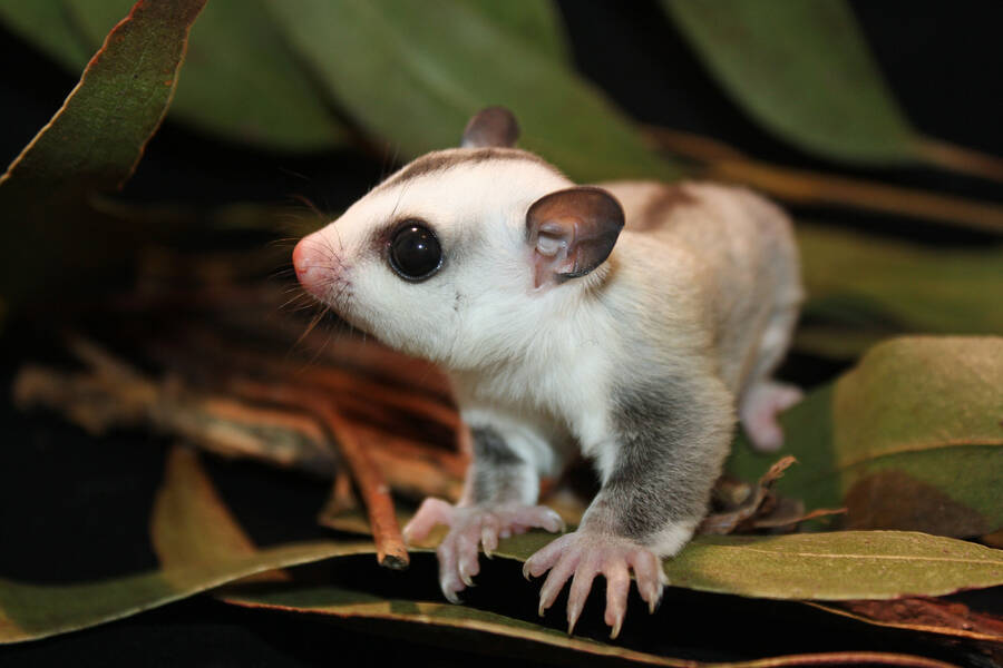 Amor 100.3 Listen Live - San Jose, United States | Online Radio Box