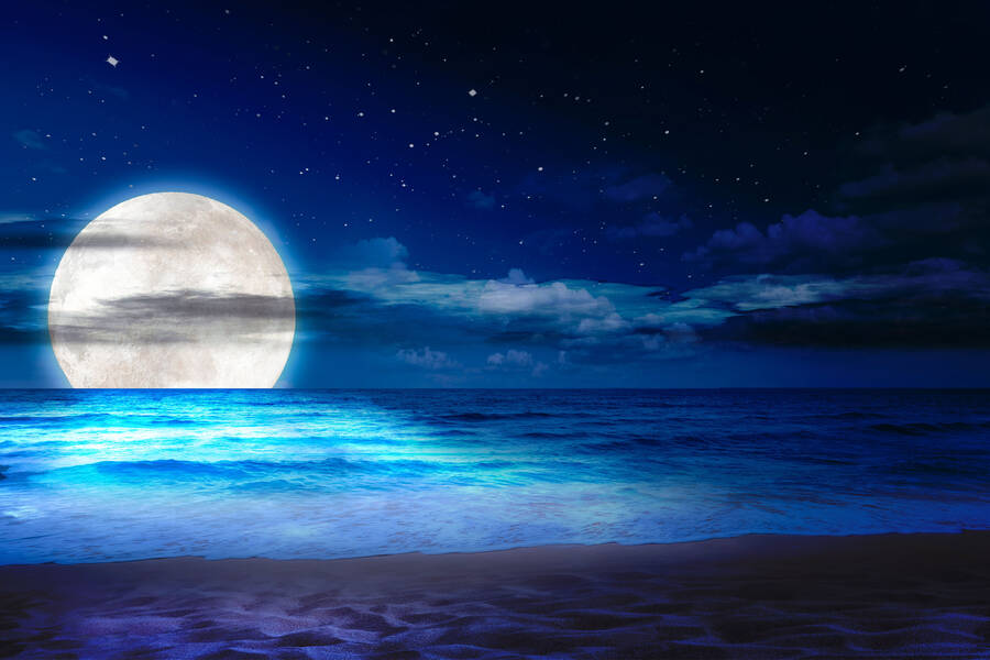 NewsTalk 550 KFYI Listen Live - Phoenix, United States | Online Radio Box