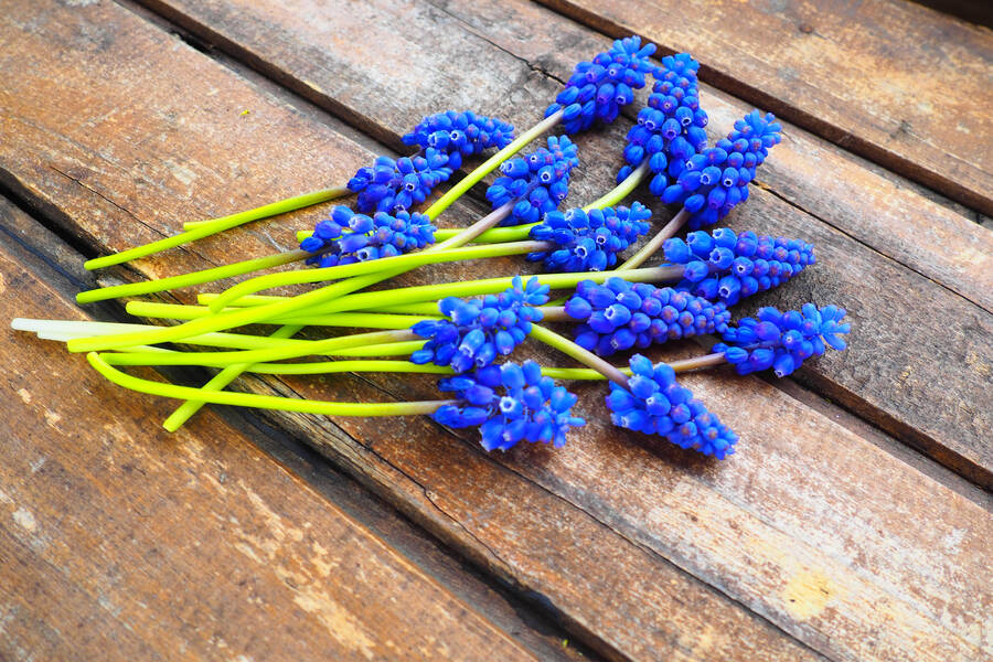 Classic Country 980 KSGM Listen Live - Chester, United States | Online ...