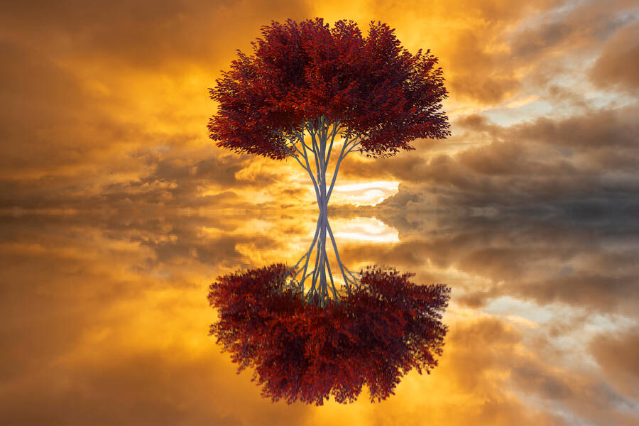 Noti Uno 630 en Vivo - San Juan, Puerto Rico | Online Radio Box