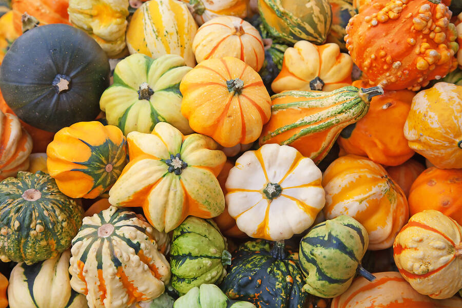 WAAF Boston's Rock Station Listen Live - 93.7-104.1 MHz FM, Brockton ...