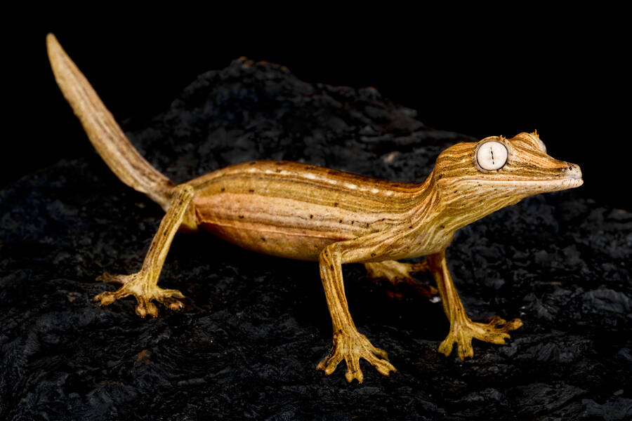 WMOD FM Listen Live - 96.7 MHz FM, Bolivar, United States | Online ...