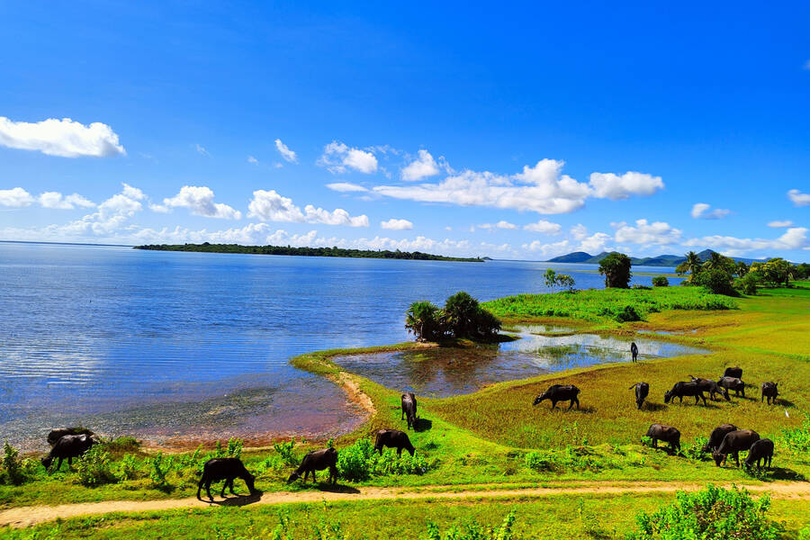 WEVL FM Listen Live - 89.9 MHz FM, Memphis, United States | Online ...