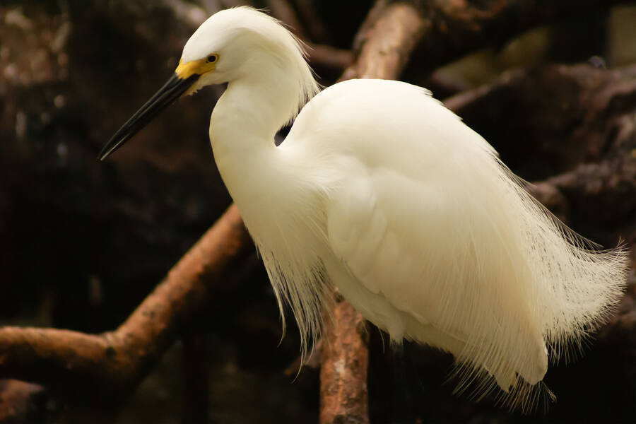 WFIF Radio Listen Live - 101.9 FM, 1500 kHz AM, Milford, United States ...