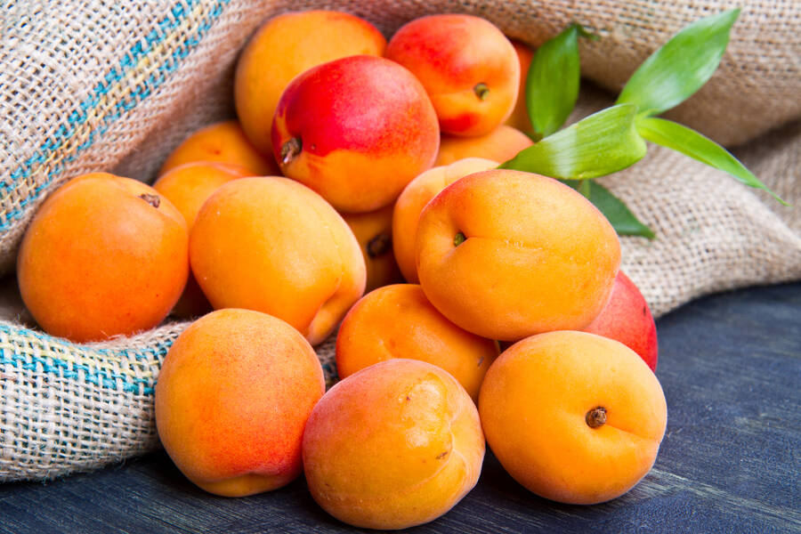 Newsradio 1140 WRVA Listen Live - Richmond, United States | Online ...