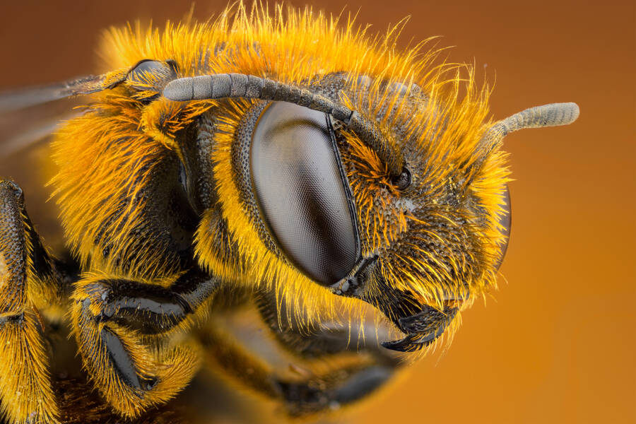 Mello FM Listen Live - 88.1 MHz FM, Montego Bay, Jamaica | Online Radio Box