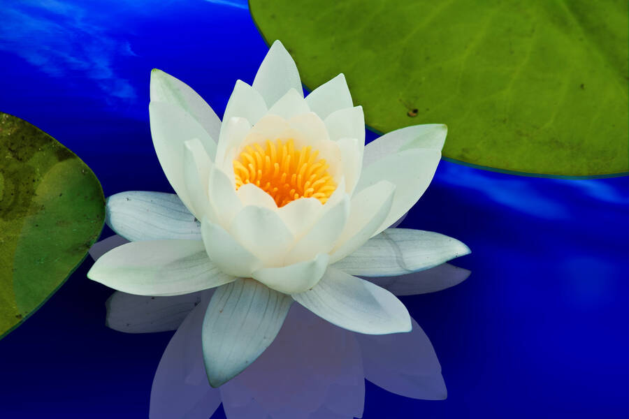 KIAK 102.5 FM Listen Live - Fairbanks, United States | Online Radio Box