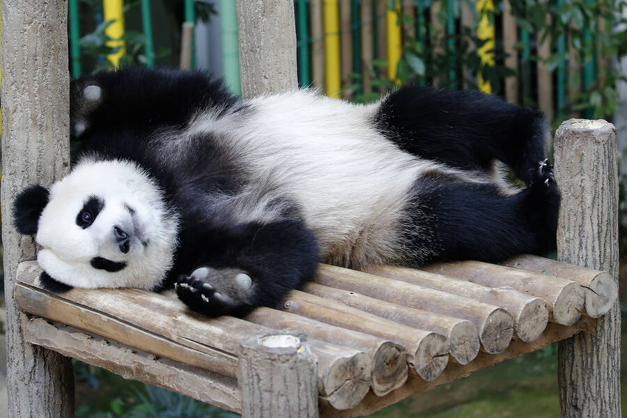 WTPR Listen Live - 101.7 MHz FM, Paris, United States | Online Radio Box