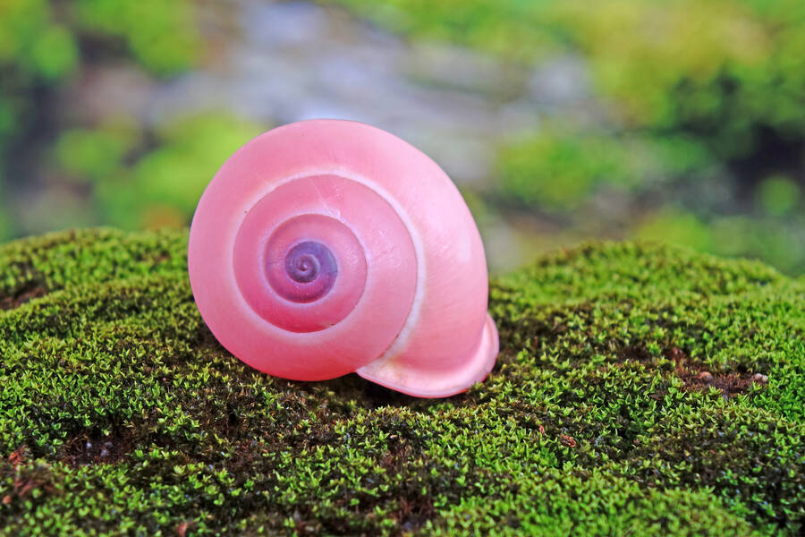 92Q - WQQK Listen Live - 92.1 MHz FM, Nashville, United States | Online ...