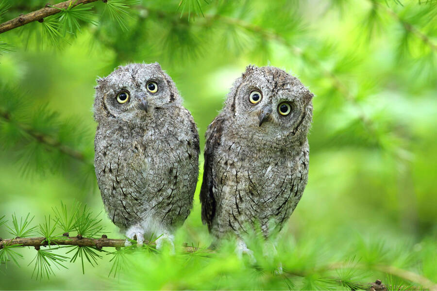 Q97 Listen Live - 97.3 MHz FM, Redding, United States | Online Radio Box