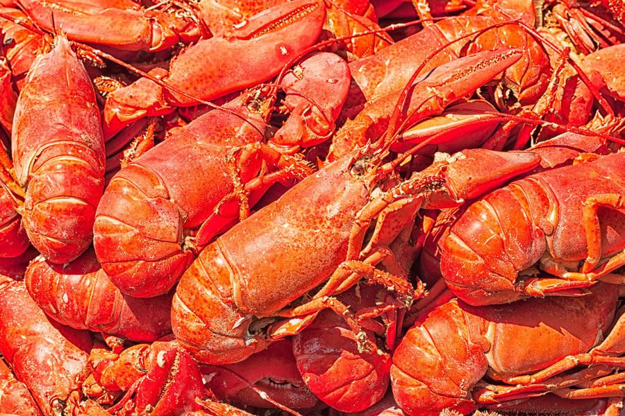 Upendo FM Listen Live - 107.7 MHz FM, Dar es Salaam, Tanzania | Online ...