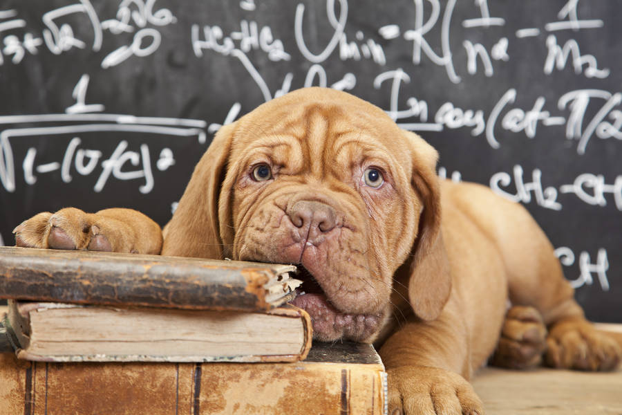 55KRC Listen Live - 550 kHz AM, Cincinnati, United States | Online ...