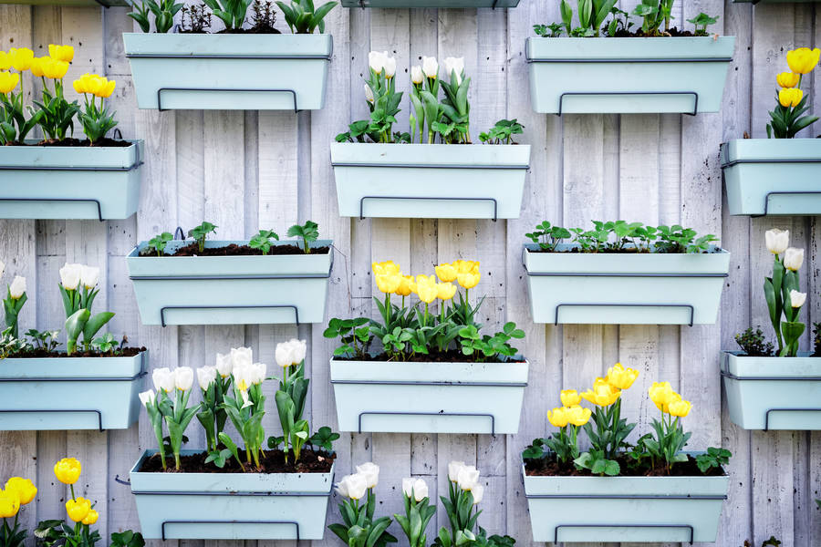 Radio Fiji Two Listen Live - 105.0 MHz FM, Suva, Fiji | Online Radio Box