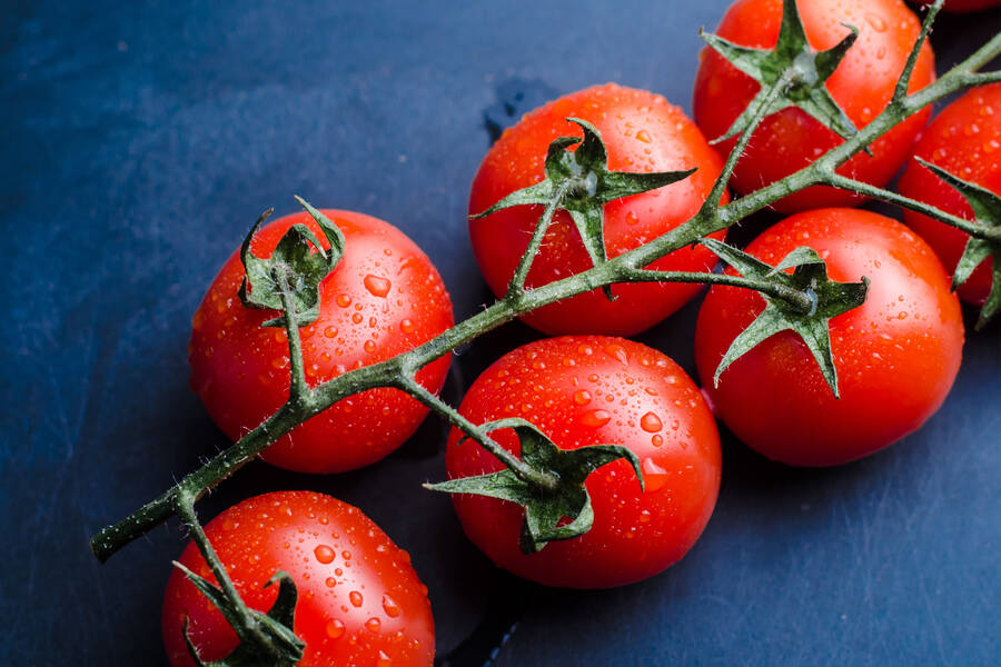 WNZF Newsradio Listen Live - 1550 kHz AM, Bunnell, United States ...