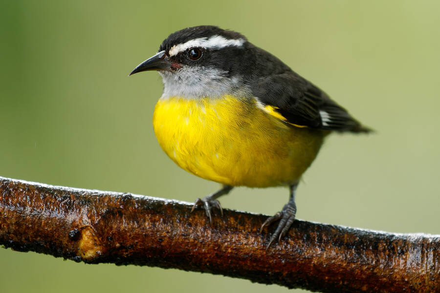 Big R Radio - Classic Rock Listen Live - 100.5 MHz FM, Seattle, United ...