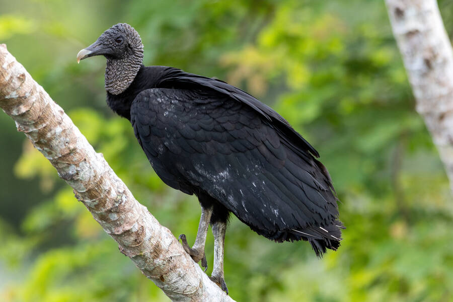 Mar FM en Vivo - 99.7 MHz FM, Veracruz, México | Online Radio Box