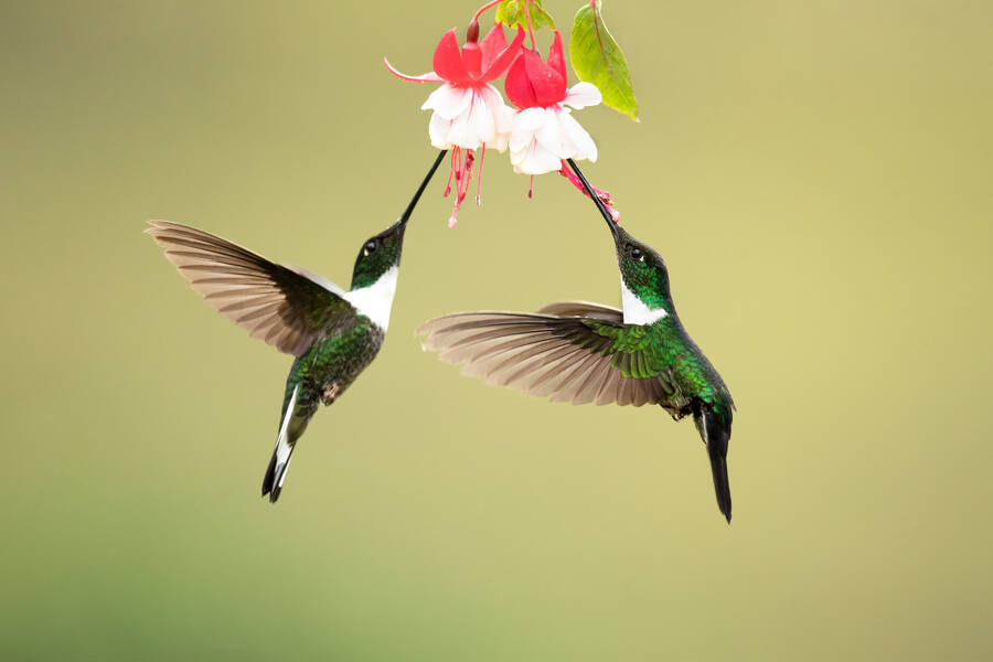 WRGG-LP 93.7 FM Listen Live - Greencastle, United States | Online Radio Box