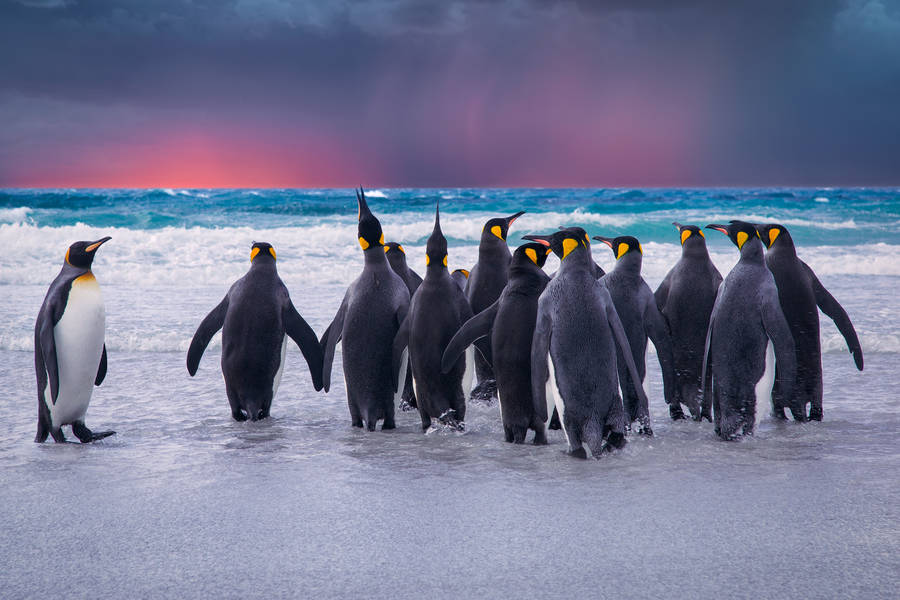 WHBU Radio Listen Live - 1240 kHz AM, Anderson, United States | Online ...