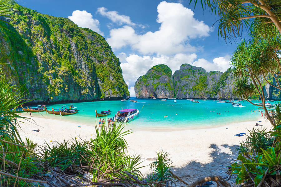 Tree Country 1330 AM Listen Live - Greensburg, United States | Online ...