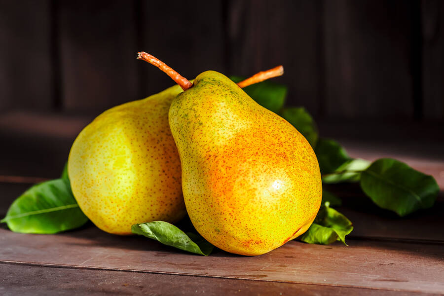 94.1 KODJ Listen Live - Salt Lake City, United States | Online Radio Box