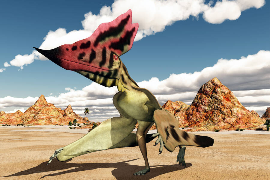 600 KCOL Listen Live - Wellington, United States | Online Radio Box