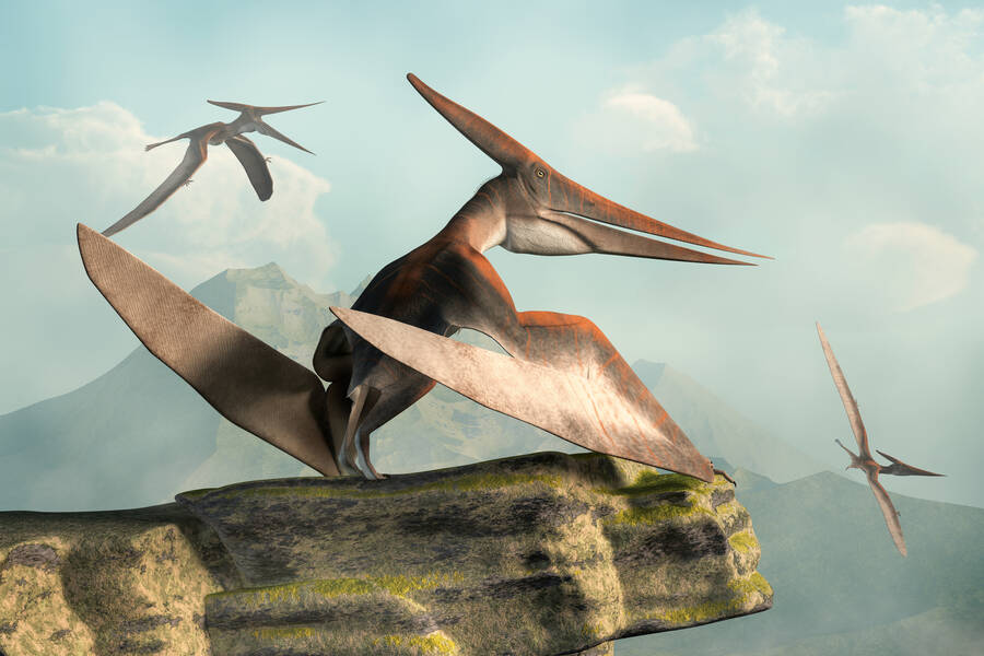 Magic 80s Florida Listen Live - Margate, United States | Online Radio Box