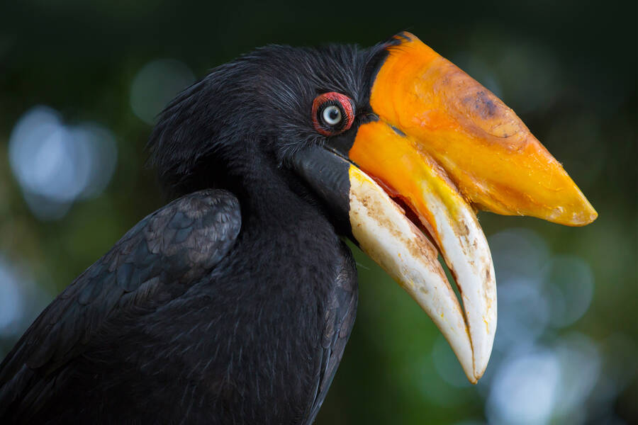 KULY AM 1420 Listen Live - Ulysses, United States | Online Radio Box