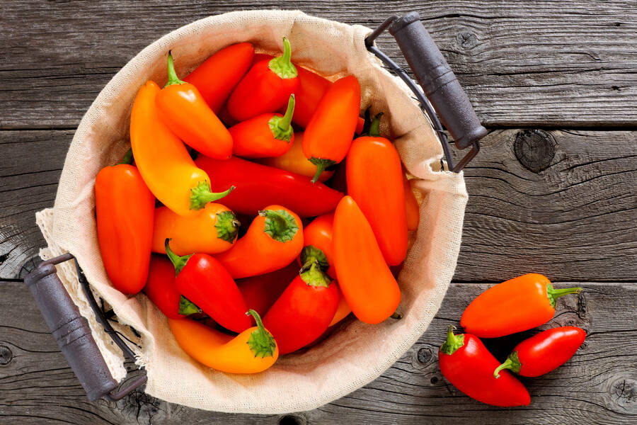 KELA 1470 AM Listen Live - Chehalis, United States | Online Radio Box