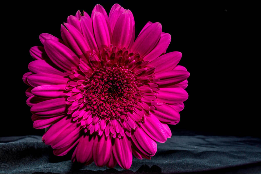 X96.3 Listen Live - WXNY, New York, United States | Online Radio Box