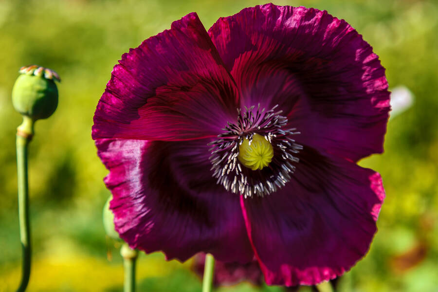 Kicks 96 Listen Live - 96.1 MHz FM, Lake Charles, United States ...