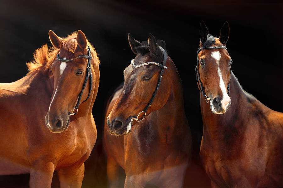 All Time Hits - Non-stop Top 40 muziek luisteren online | Online Radio Box