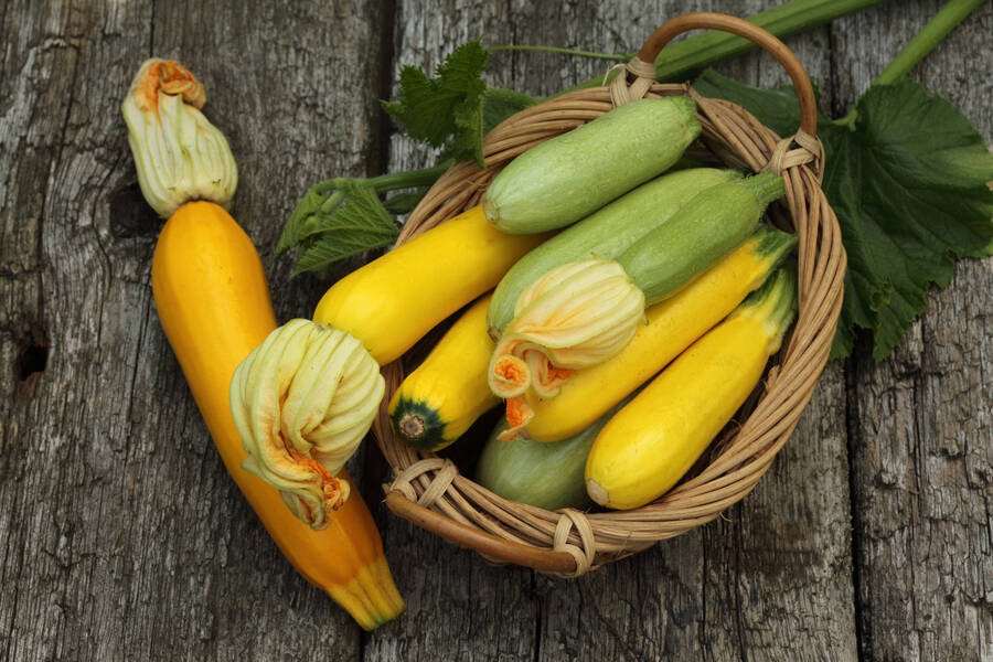 The Sky 97.3 FM Listen Live - Gainesville, United States | Online Radio Box