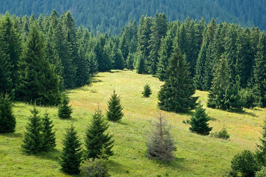 WQKT 104.5 Listen Live - Wooster, United States | Online Radio Box