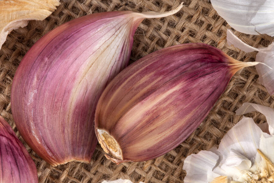 Prambors FM streaming - 95.8 MHz FM, DI Yogyakarta, Indonesia | Online ...