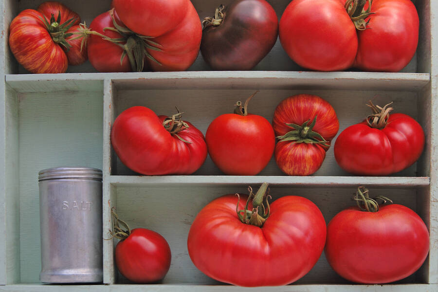 KDCE Listen Live - Española, United States | Online Radio Box