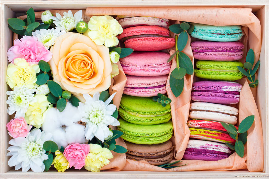 WNWI 1080 AM Listen Live - Oak Lawn, United States | Online Radio Box