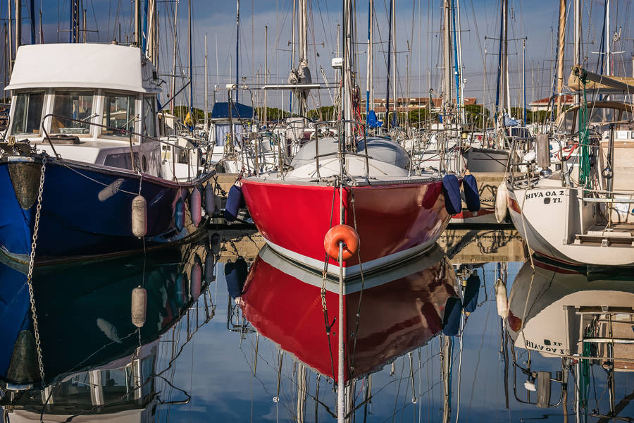 KCOH 1230 AM Listen Live - Houston, United States | Online Radio Box