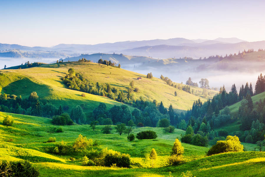 WCBN Listen Live - 88.3 MHz FM, Ann Arbor, United States | Online Radio Box