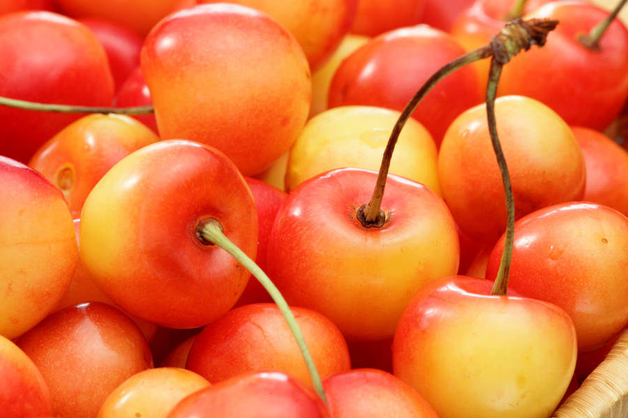 Star 102 Listen Live - 102.1 MHz FM, Cleveland, United States | Online ...