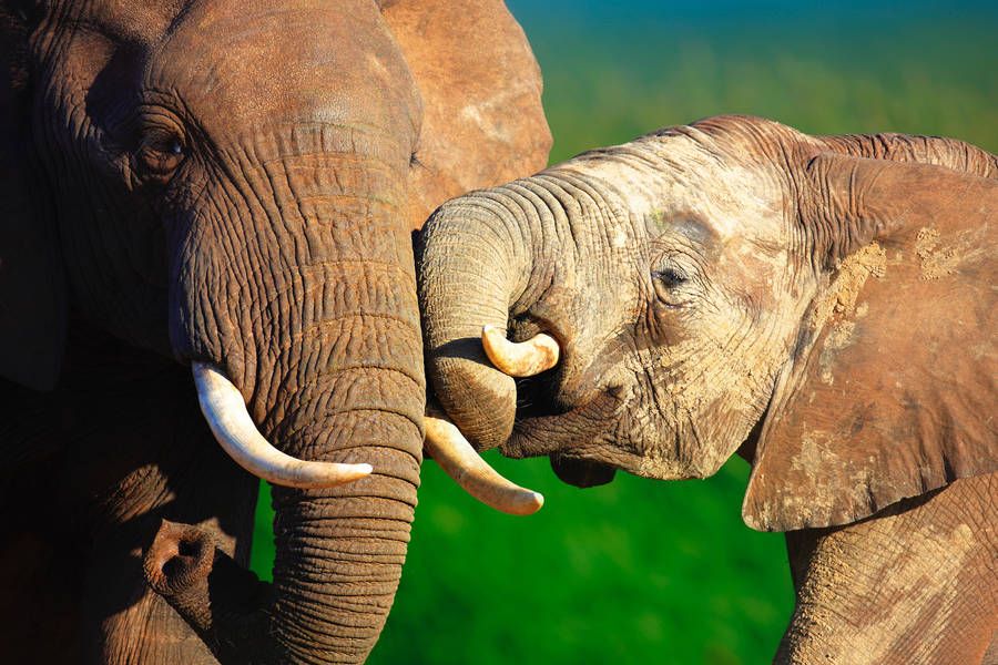 Online Radio Box - listen to the radio online for free