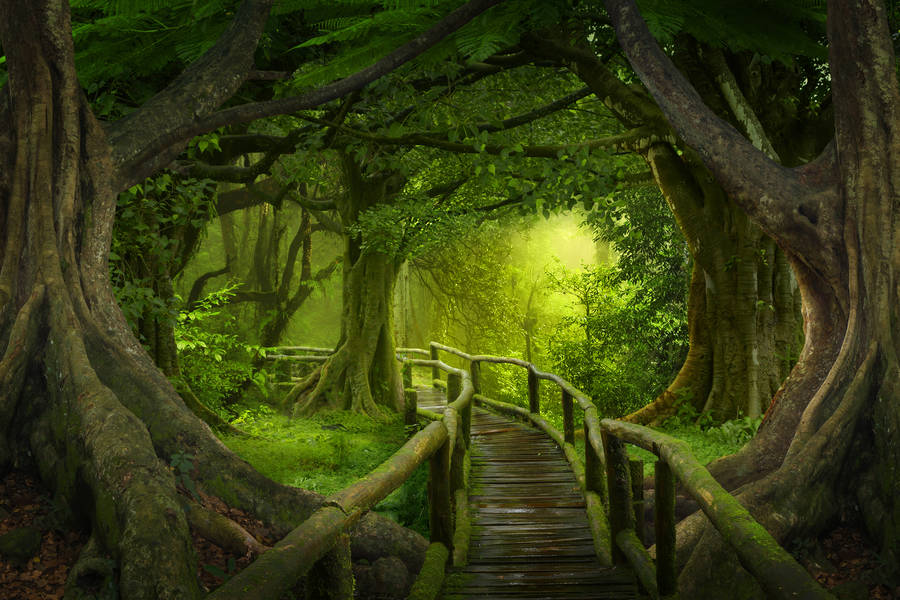 WKVI FM - Vinyl Gold 99.3 Listen Live - Knox, United States | Online ...