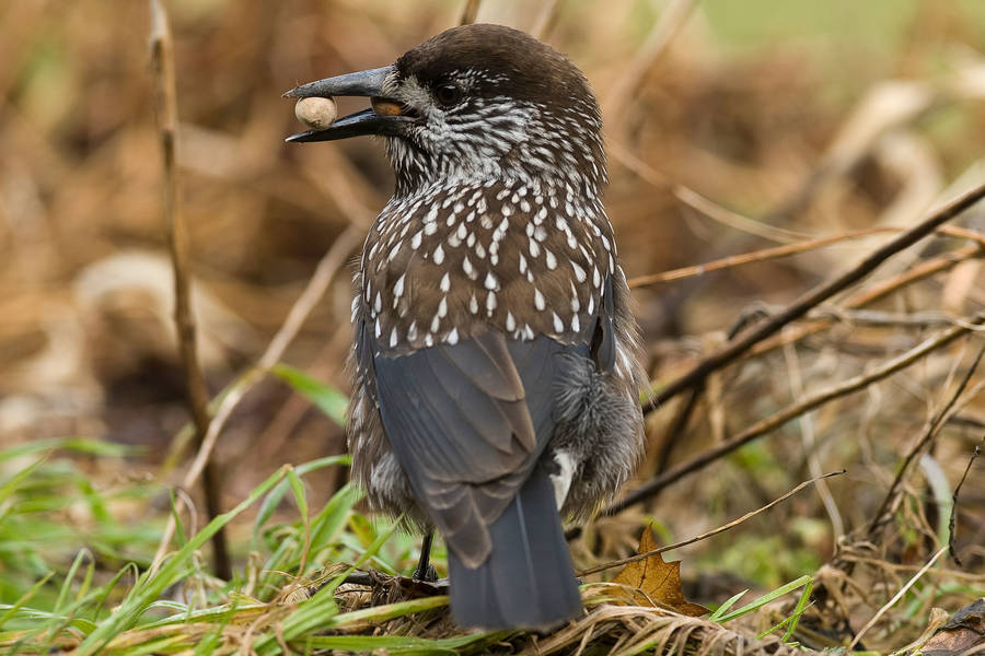 WKEI - Newstalk 1450AM/101.1 FM Listen Live - Kewanee, United States ...