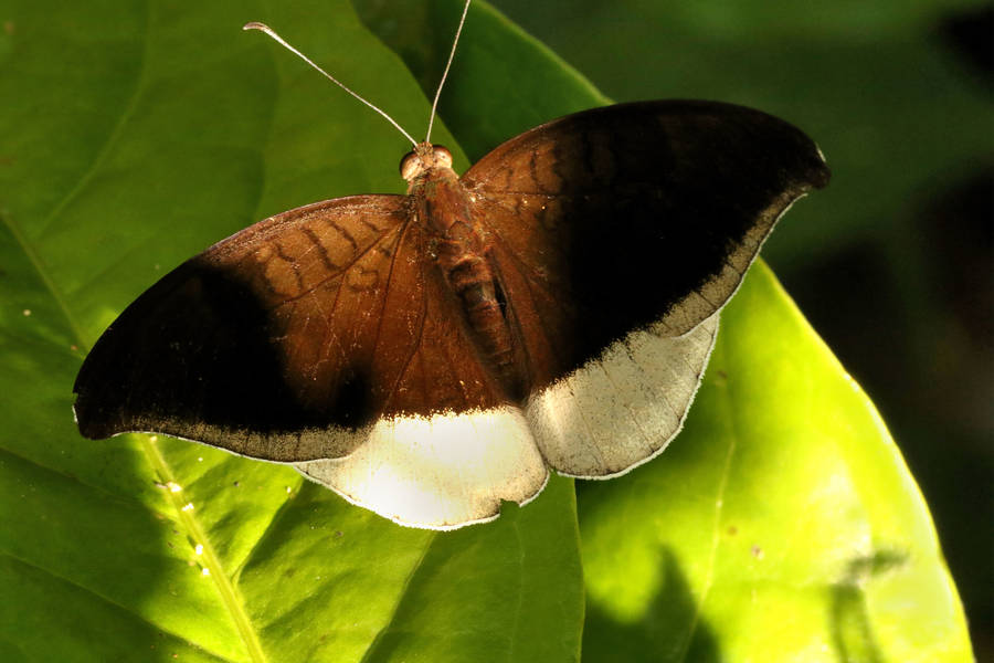 V-103 (WVEE) Listen Live - 103.3 MHz FM, Atlanta, United States ...