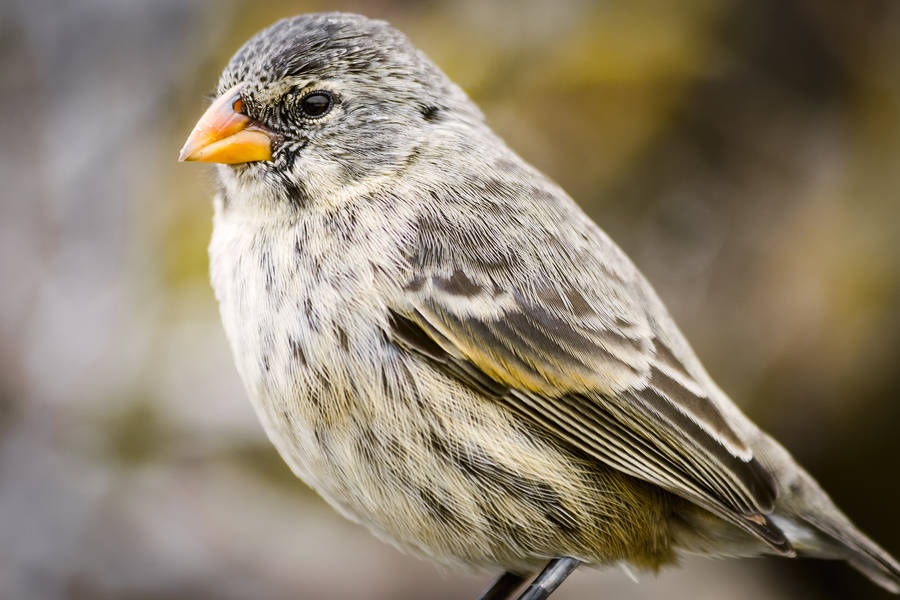 News Talk 1590 KVTA Listen Live - Ventura, United States | Online Radio Box