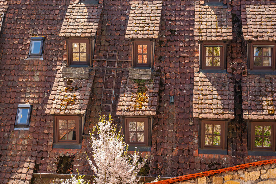 KDCE Listen Live - Española, United States | Online Radio Box