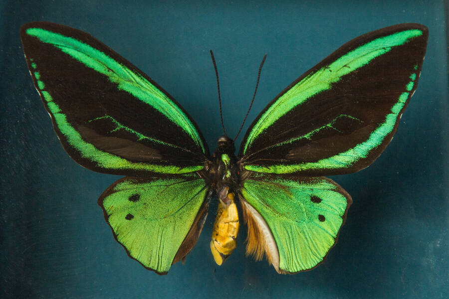 Radio Foorti Listen Live - 88.0 MHz FM, Dhaka, Bangladesh | Online ...