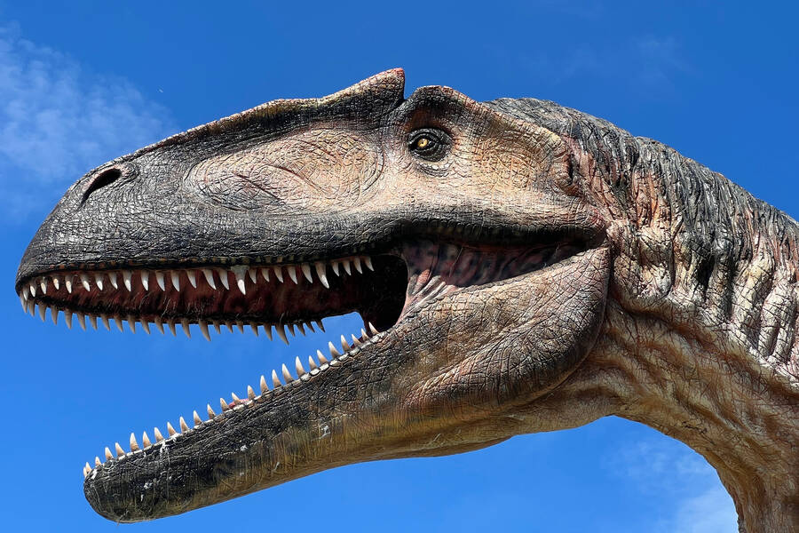 Beam FM live - London, United Kingdom | Online Radio Box