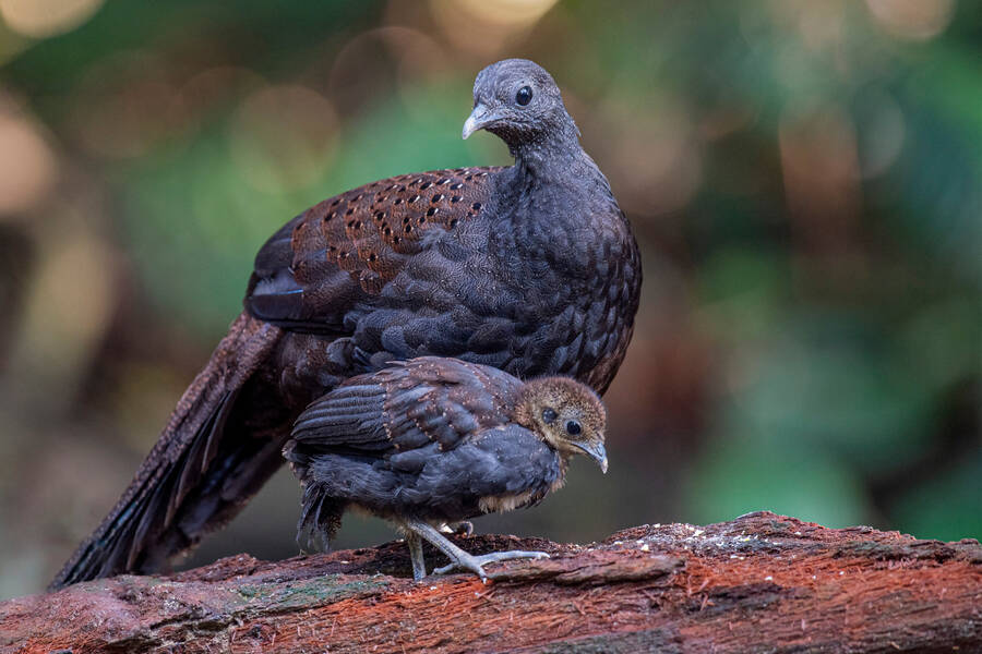 Rock 95 Listen Live - CFJB-FM, 95.7 MHz FM, Barrie, Canada | Online ...