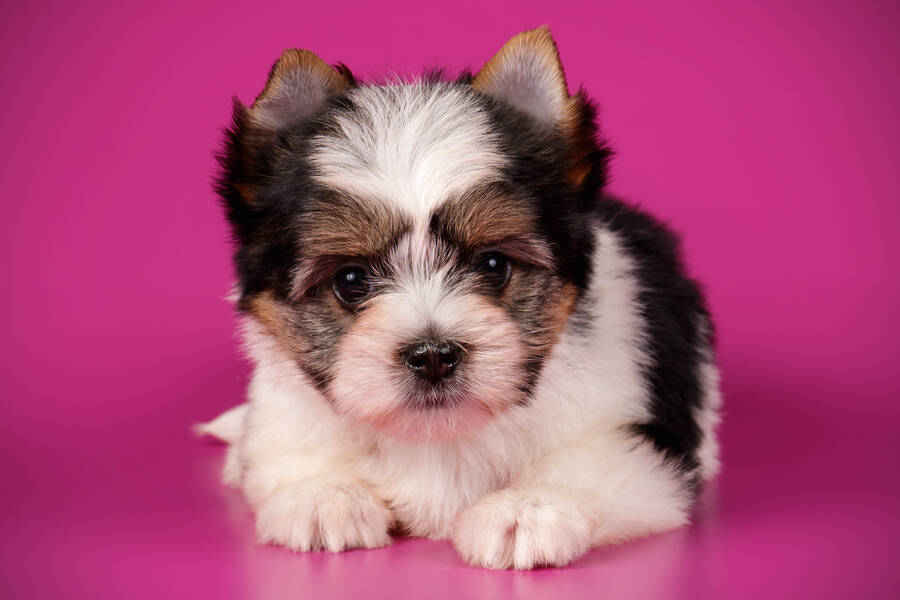 KFRM Listen Live - 550 kHz AM, Salina, United States | Online Radio Box