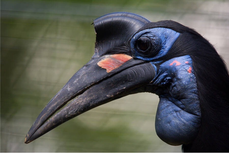 WYXY Classic 99.1 Listen Live - Savoy, United States | Online Radio Box